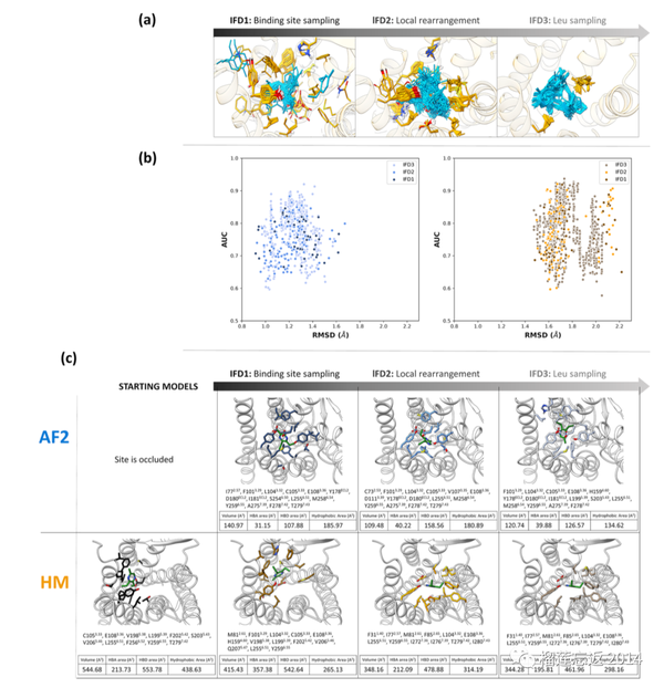 案列研究: 利用 AlphaFold 与同源建模深度剖析 OR5K1 的正交结合位点 - 知乎
