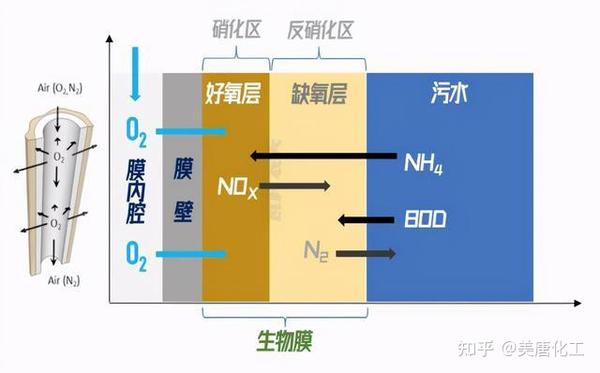 MABR的前世今身 - 知乎