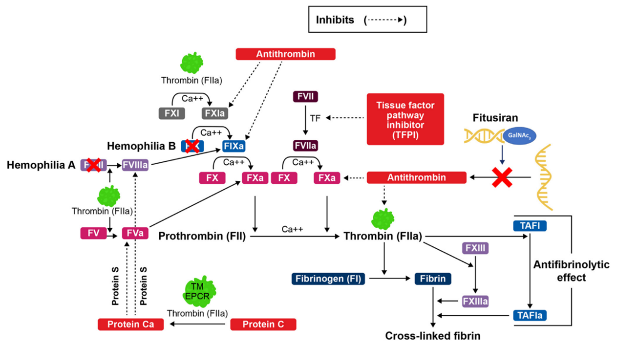 他山之石-7丨siRNA 药物 Fitusiran 上市历程及临床开发路径总结 - 知乎