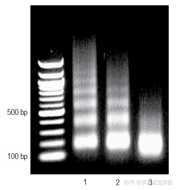 什么是ChIP？——ChIP原理概述 - 知乎