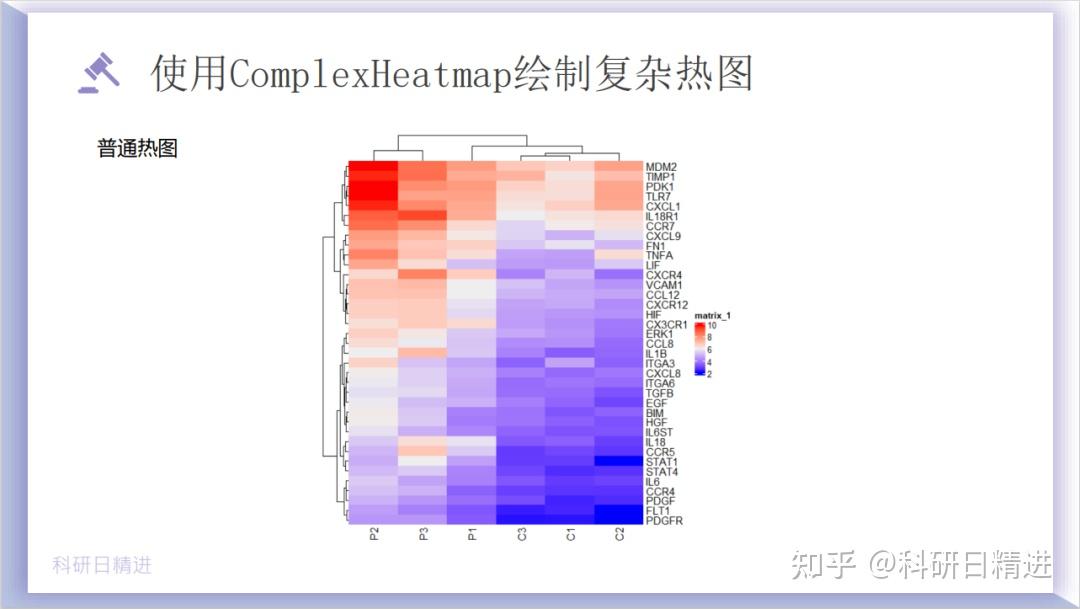 科研日精进生信第29课-《ComplexHeatmap包绘制复杂热图-1》 - 知乎