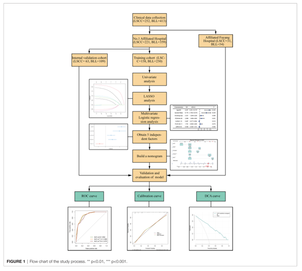 LASSO+逻辑回归+诺莫图+在线预测模型+DCA=Frontiers in Oncology（IF=5.738) - 知乎