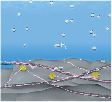 3天5篇《AFM》，MXene最新进展一网打尽！ - 知乎