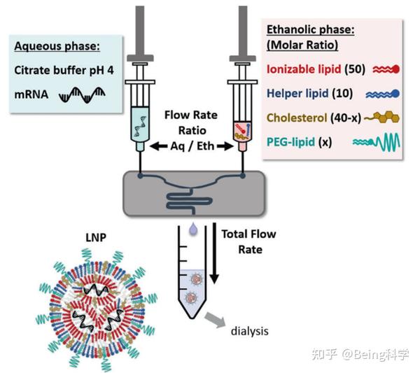 mRNA疫苗黄金搭档，LNP优化的最新分析方法！ - 知乎