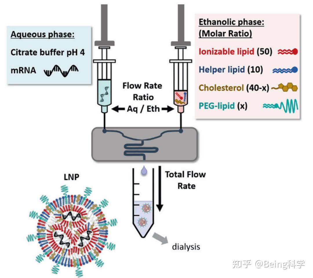 mRNA疫苗黄金搭档，LNP优化的最新分析方法！ - 知乎
