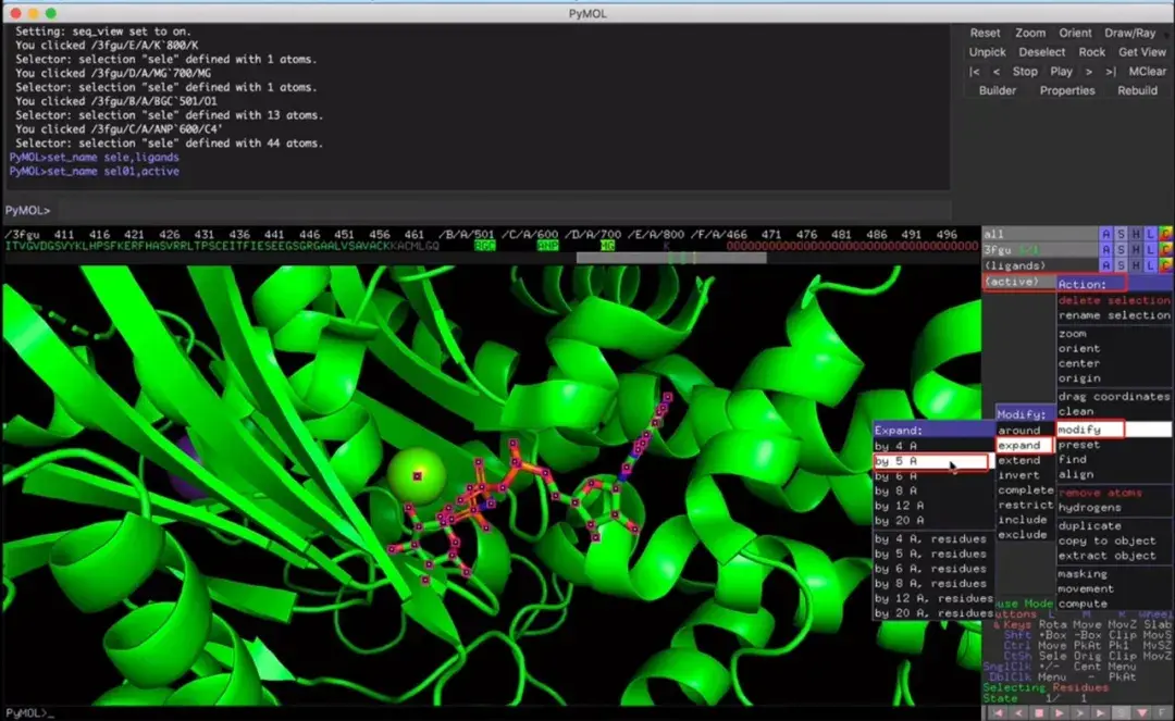 PyMOL教程：活性位点分析保姆级讲解 - 知乎