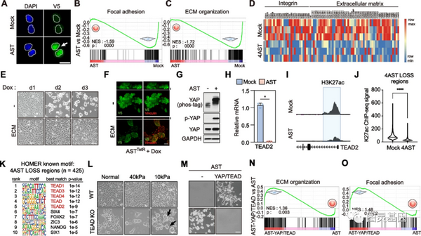 Mol Cancer | 贴壁悬浮转化促进癌症转移扩散：相关分子有望成为新靶点 - 知乎