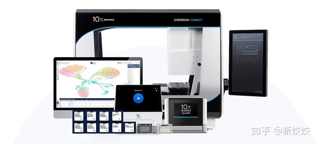 10x Genomics单细胞分析在中性粒细胞研究中的应用 - 知乎
