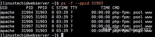 通过20个实例掌握 Linux PS 命令 - 知乎