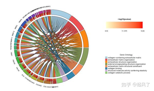 分享一个好看GO分析好看的代码 - 知乎