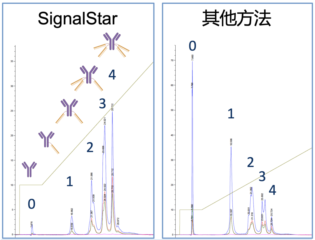 SignalStar™ Multiplex IHC开启空间生物学研究新时代 - 知乎