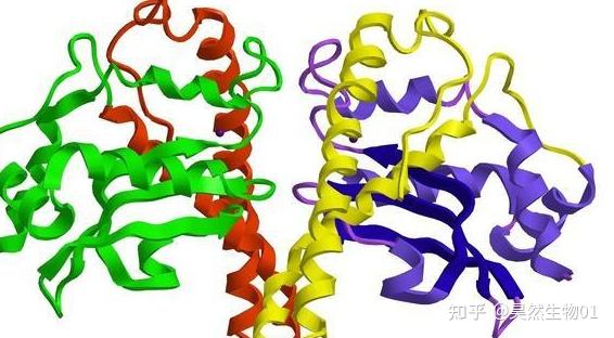 crown ether-PEG-ALB，crown ether-PEG-SOD，冠醚-聚乙二醇-超氧化歧化酶 - 知乎