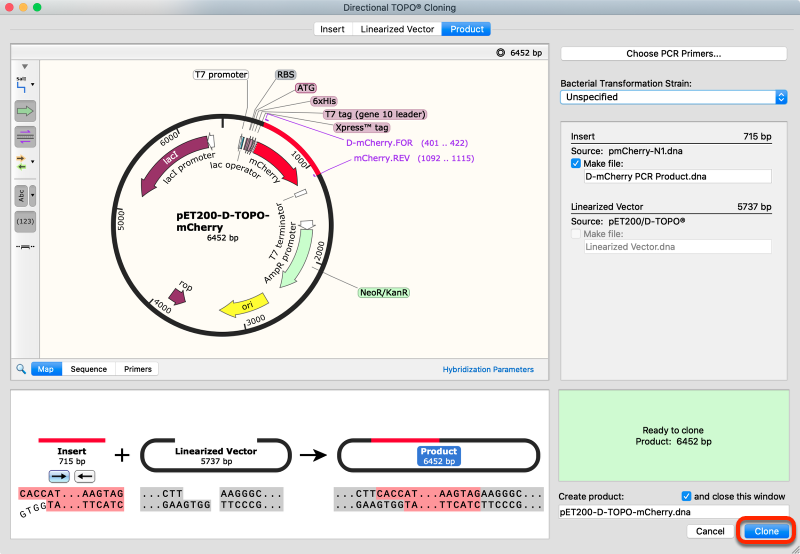 TOPO®克隆延伸阅读 | SnapGene模拟定向TOPO®克隆过程 - 知乎