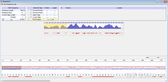 最强qRT-PCR）NCBI/oligo 7引物设计，附加oligo 7 + DNAstar软件 - 知乎