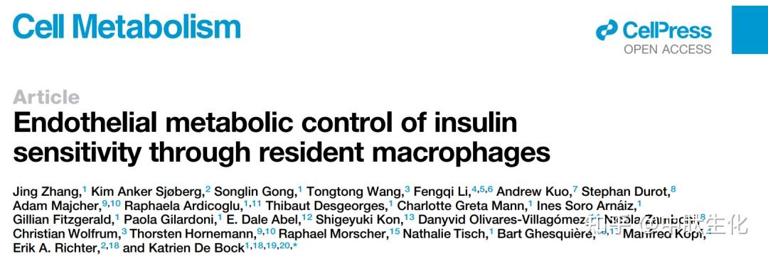 Cell Metab：张静等揭示内皮细胞在维持骨骼肌胰岛素敏感性中的关键作用 - 知乎