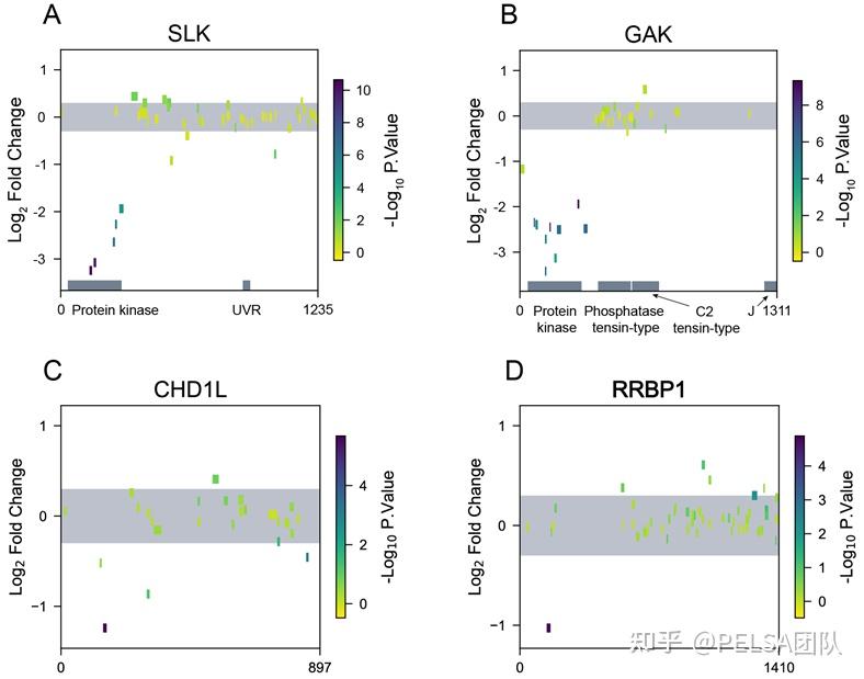 PELSA-Decipher：PELSA靶蛋白质鉴定方法的专用数据处理软件发布 - 知乎