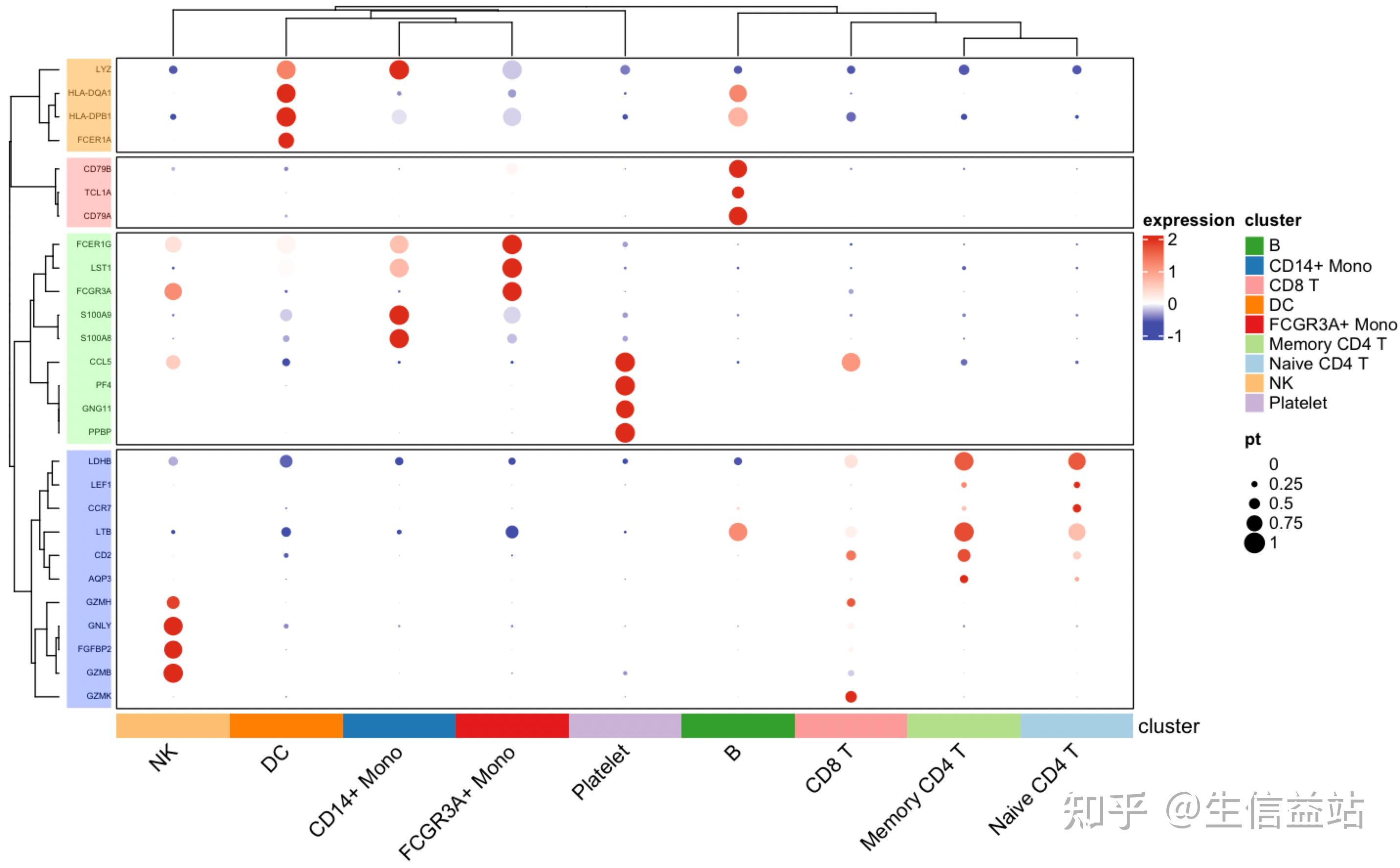 R绘图技巧31| ComplexHeatmap版本的复杂DotPlot(二)——配色、网格与行装饰 - 知乎