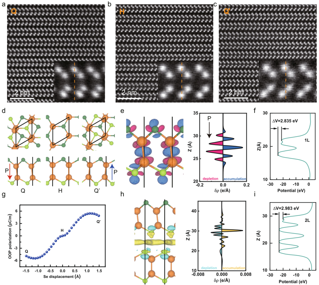 中科院陈岚/吴克辉团队，最新《Nat.Commun.》！ - 知乎