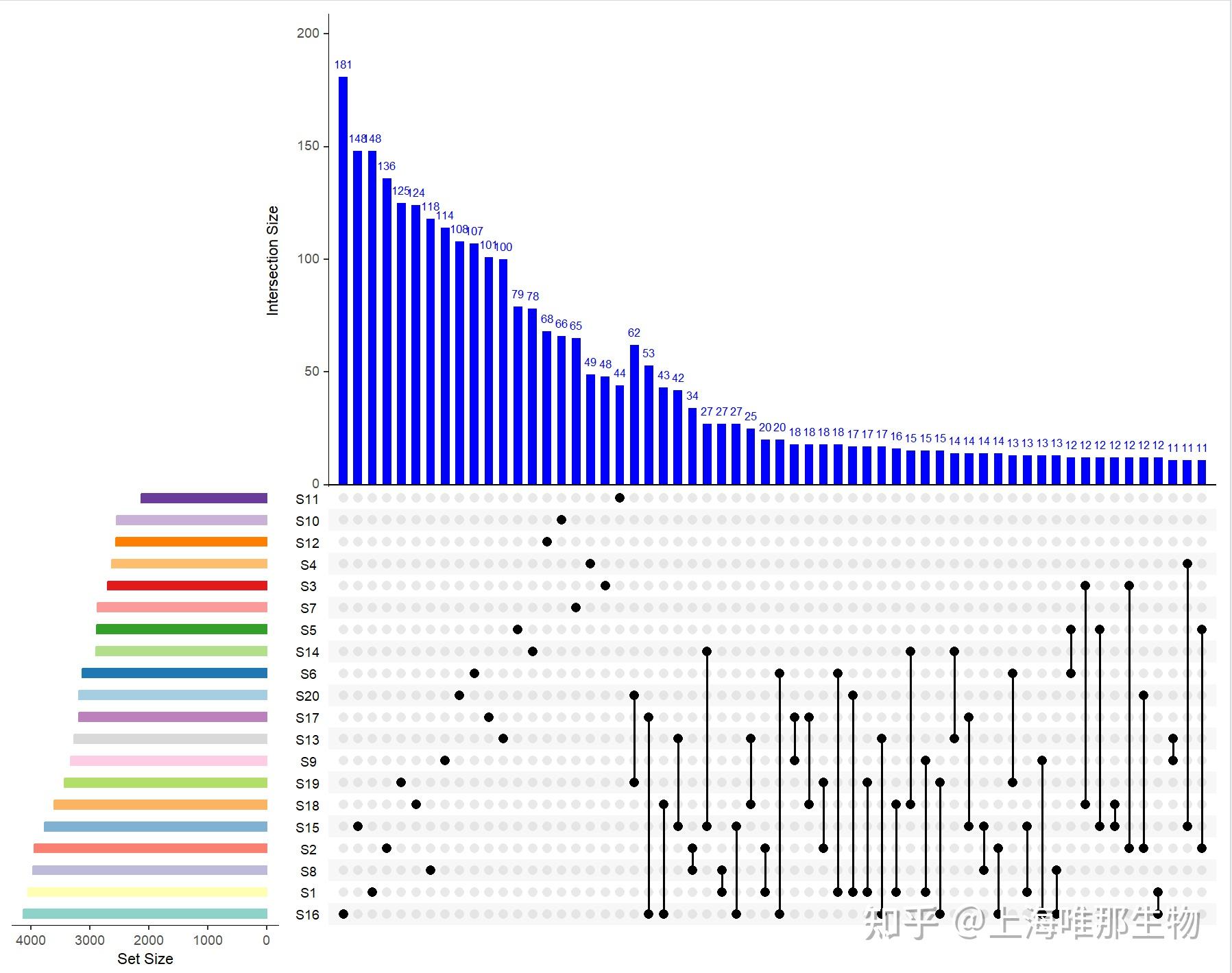 掌握数据可视化利器：Upset图（集合图）绘制方法详解 - 知乎