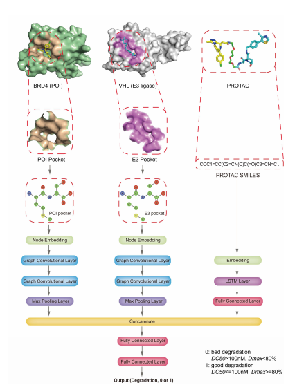 Nat. Commun. | DeepPROTACs: 基于深度学习的PROTACs降解药效预测模型 - 知乎