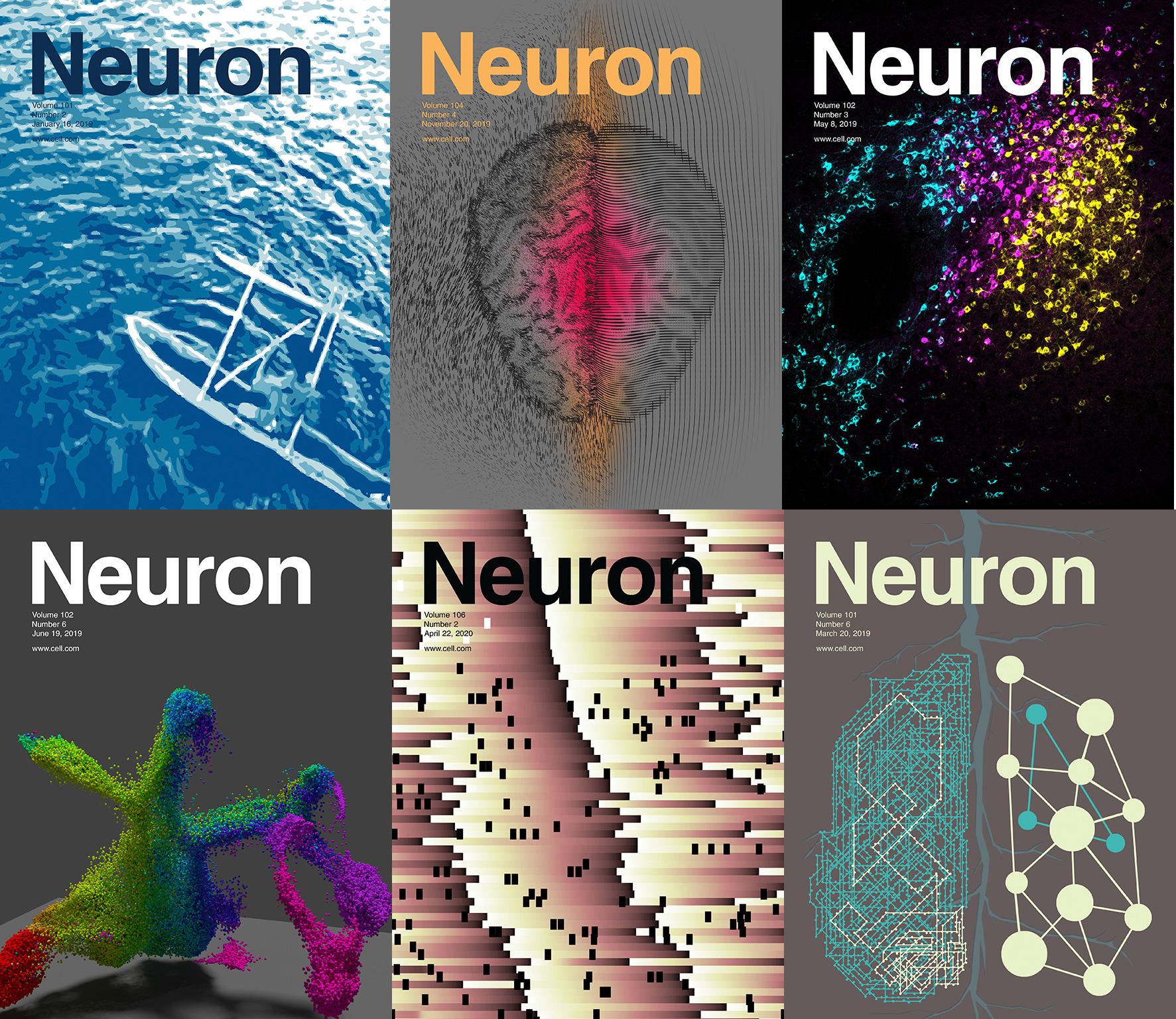 72张《Neuron》精美封面鉴赏丨2019~2021年上半篇 - 知乎