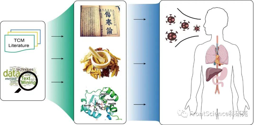 TCM2COVID/TCM-Suite数据库 - 知乎
