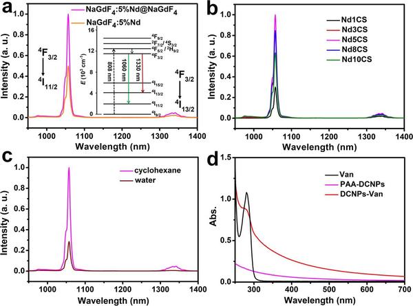 恒光讲堂｜NaGdF4纳米探针：用于靶向细菌的NIR-II光声成像 - 知乎