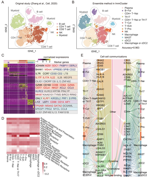 NAR︱ImmCluster：集成的免疫细胞类型注释及分析平台 - 知乎