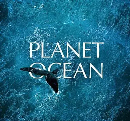 周二惊“艳”| 《The Blue Planet》：时隔16年，重逢我们的蓝色星球 - 知乎