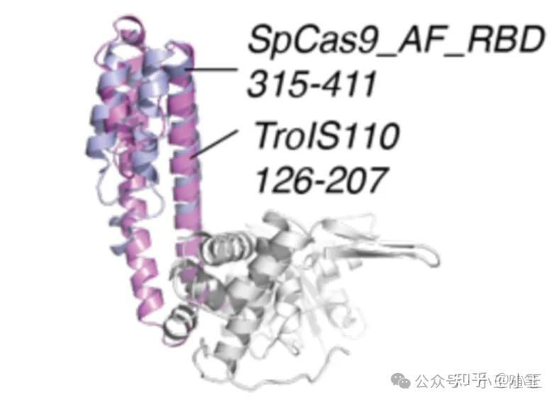 张锋发现新RNA引导系统TIGR-Tas：挖掘详述 - 知乎