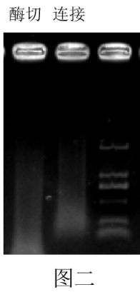 干货！如何构建一个高质量的Hi-C文库 | Hi-C专题 - 知乎