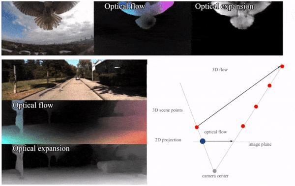 CVPR 2020 论文大盘点-光流篇 - 知乎