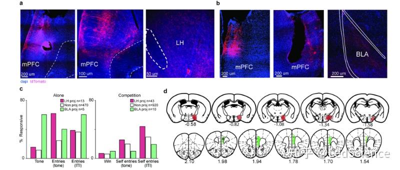 上海交大2022年发表43篇CNS！| 附全名单 - 知乎