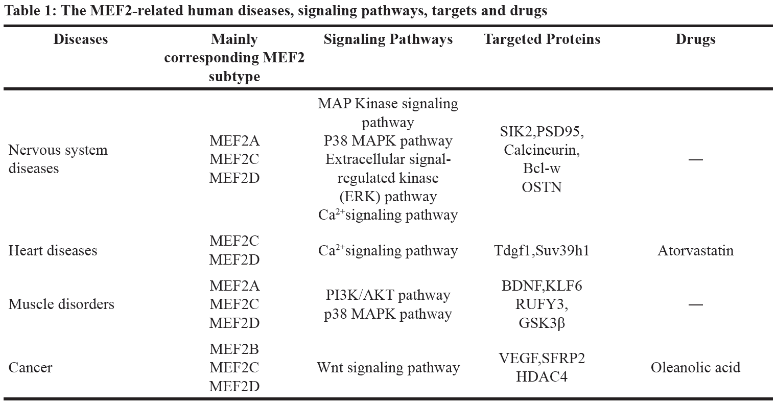 MEF2信号与人类疾病 - 知乎