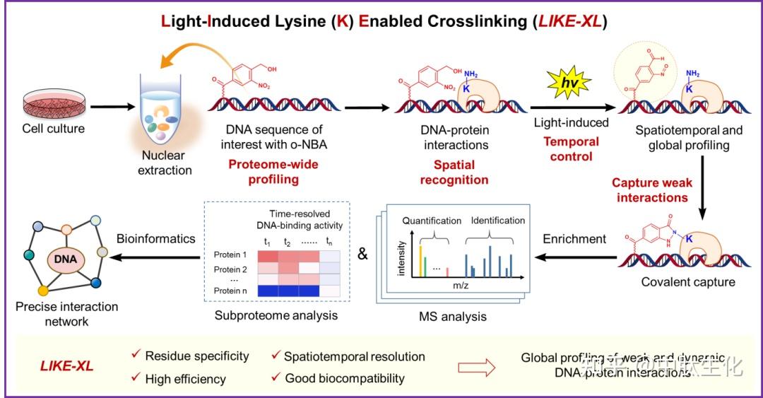 Nature子刊：陈小华/谭敏佳团队开发时空动态的蛋白质-DNA互作全景解析新方法 - 知乎