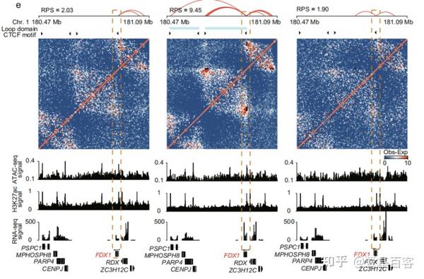 喜讯！近期3篇8分+ChIP-seq客户文章连发，王牌产品ChIP-seq文章盘点 - 知乎