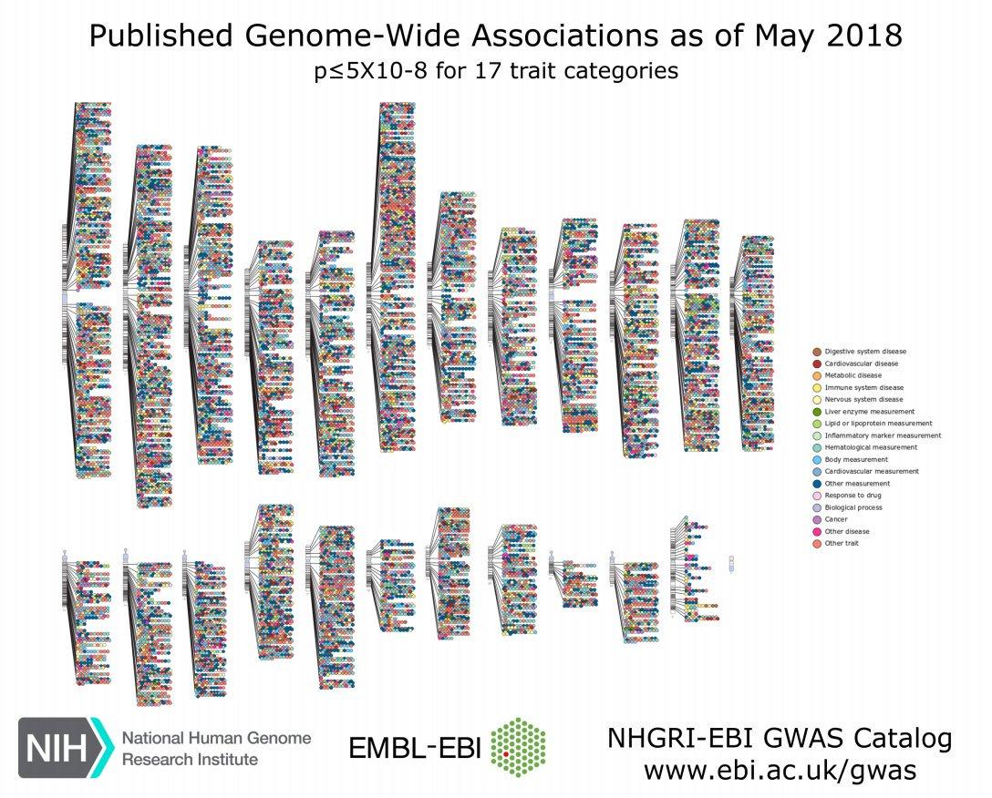 如何理解GWAS中Manhattan plot和QQ plot所传递的信息 - 知乎