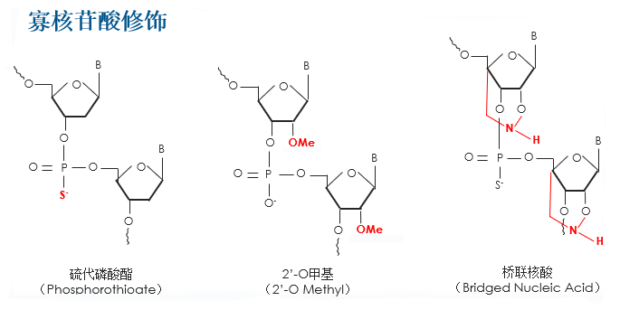 治疗性寡核苷酸药物的HPLC分析方法及生物样本分析解决方案—Clarity OTX用于SPE详解 - 知乎