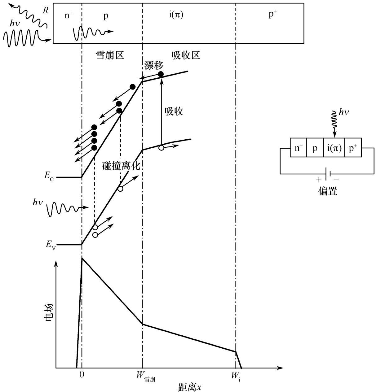 知乎盐选 | 11.5 雪崩光电二极管（APD）