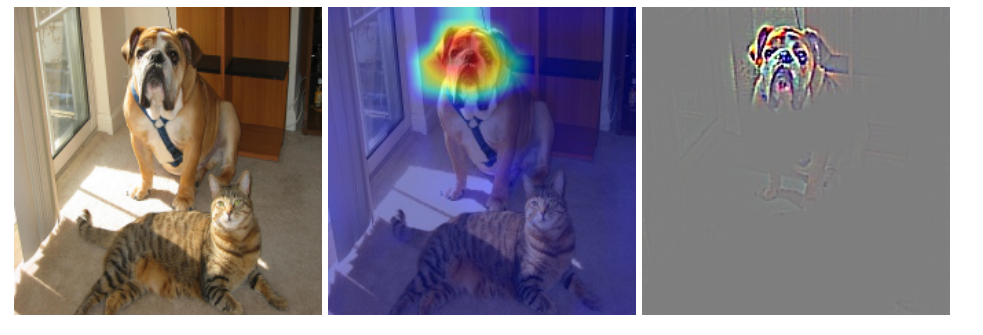 神经网络的可解释性（可视化篇）：CAM/Grad-CAM/Grad-CAM++及相关代码（TensorFlow和Pytorch） - 知乎