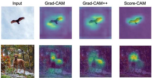 Score-CAM: Score-Weighted Visual Explanations for Convolutional Neural Networks - 知乎