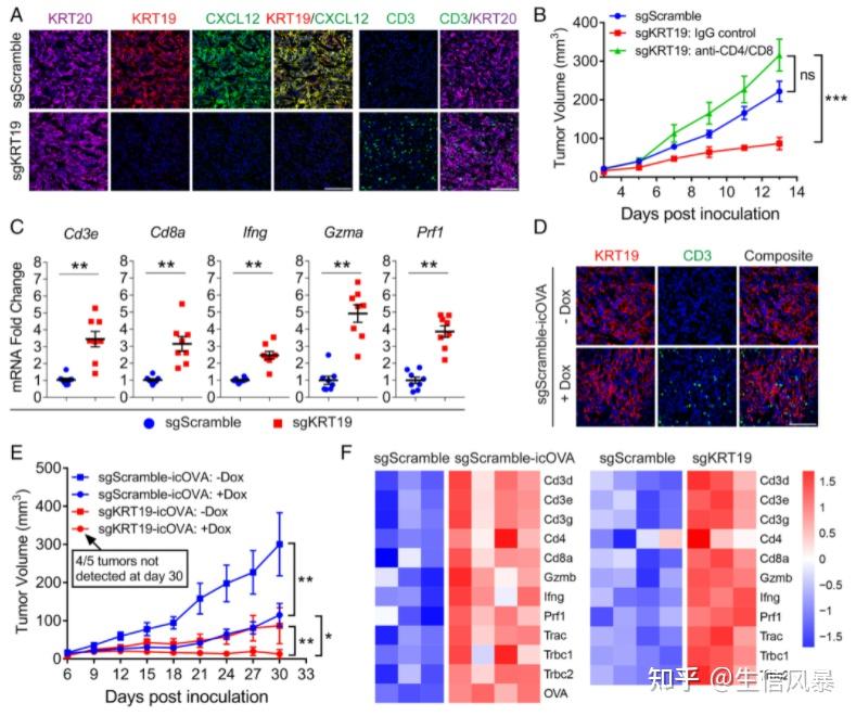 PNAS:癌细胞用CXCL12-KRT19涂层可以逃避癌症免疫攻击。 - 知乎
