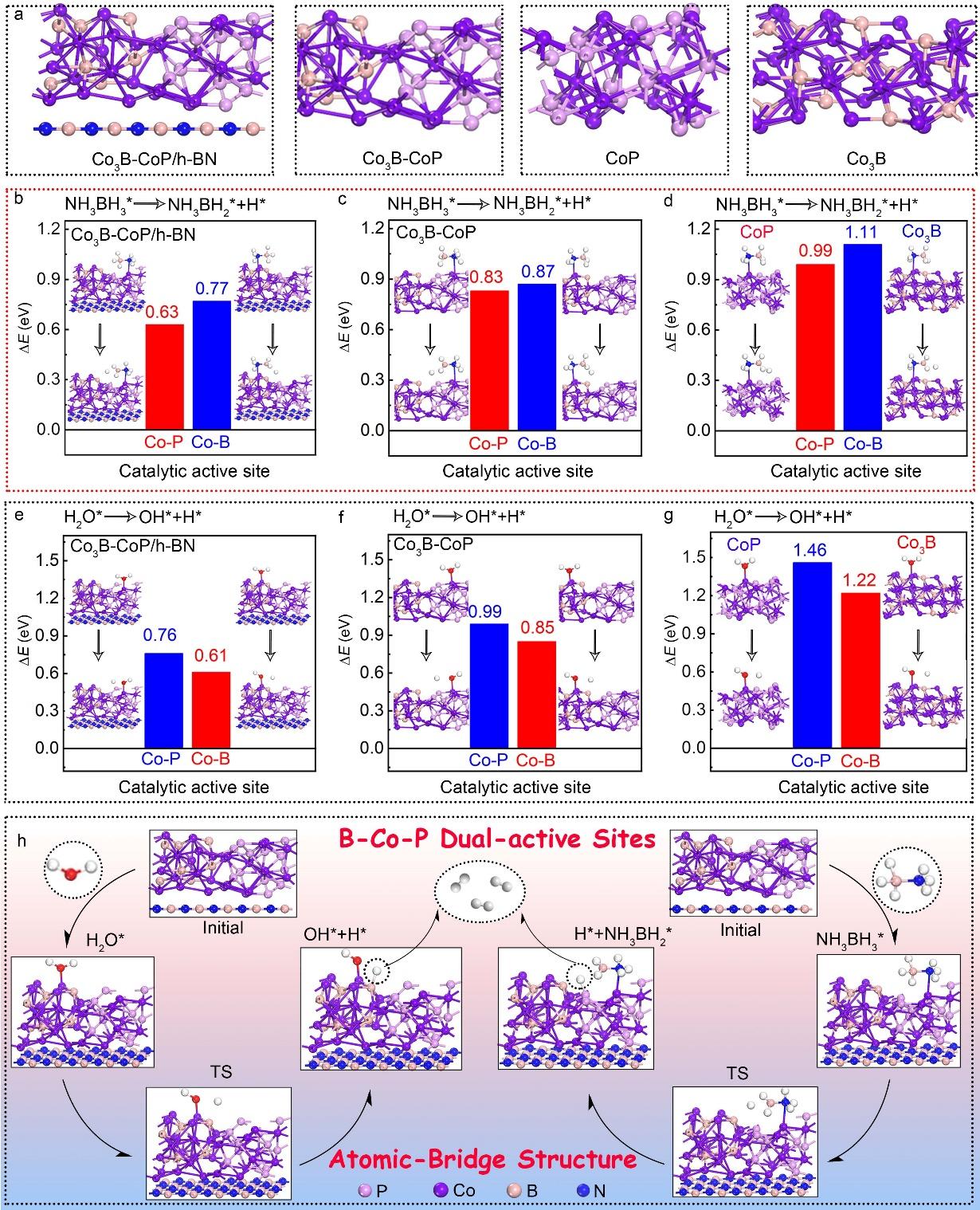 刘宝忠、李保军教授，ACB：氮化硼纳米片上高效B-Co-P原子桥结构设计及催化产氢新思路 - 知乎