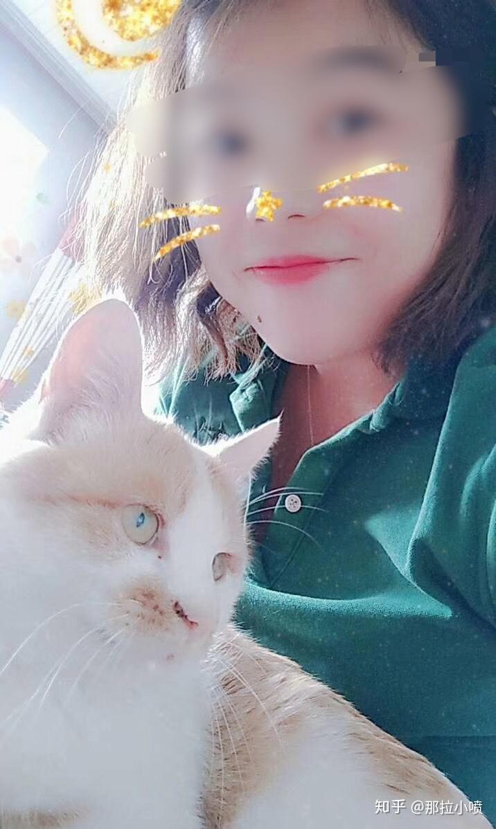 老笨，记得回家的路～ - 知乎