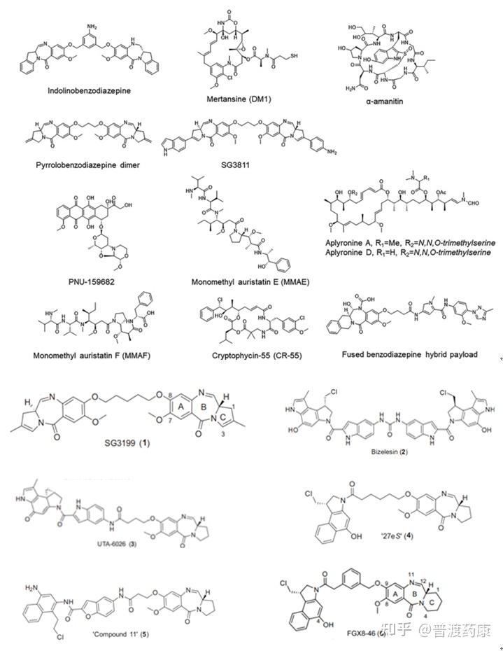 XDC药物最新研究进展 - 知乎