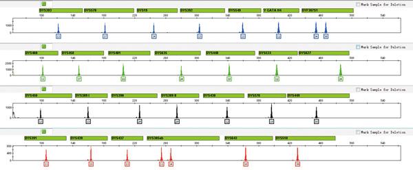 Y-STR技术深度揭秘与解读 - 知乎