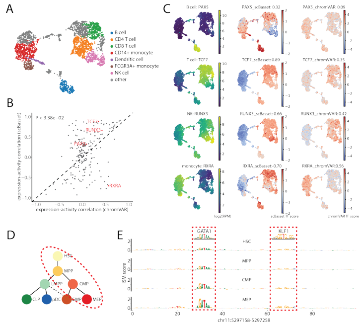 Nat. Methods | scBasset：基于DNA序列的单细胞ATAC-seq卷积神经网络建模 - 知乎