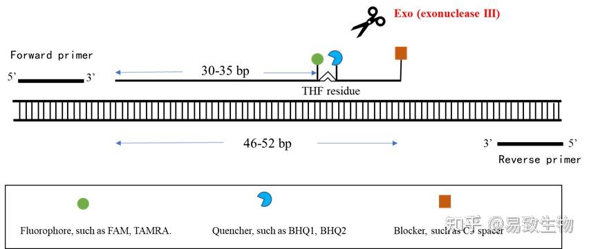 Design Principles of RPA Exo Probe - 知乎