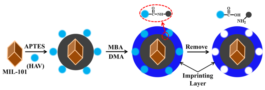 Bio Mater. | MOF在生物技术方面的应用 - 知乎