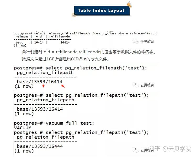 【干货分享】PostgreSQL技术文章：Database Cluster Table - 知乎